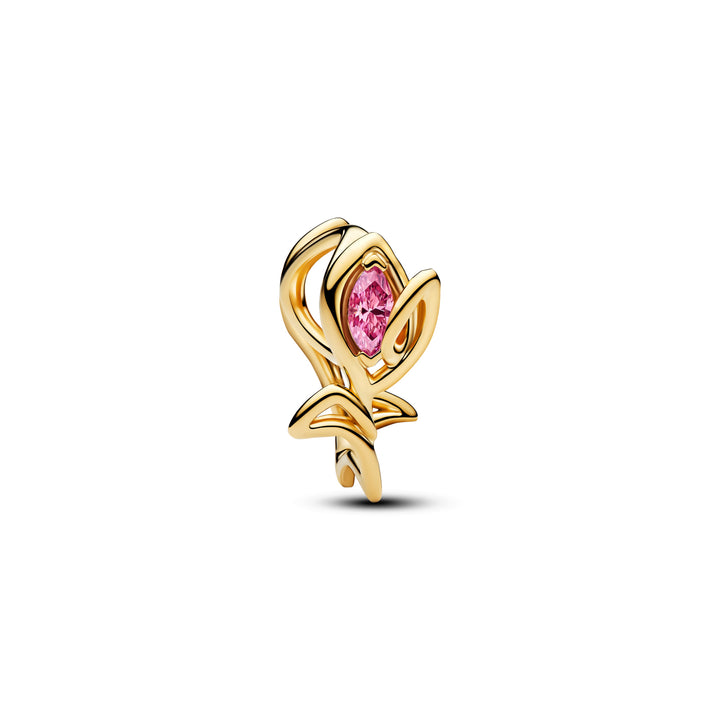 Todos Los Charms – Page 19 – Bijou®